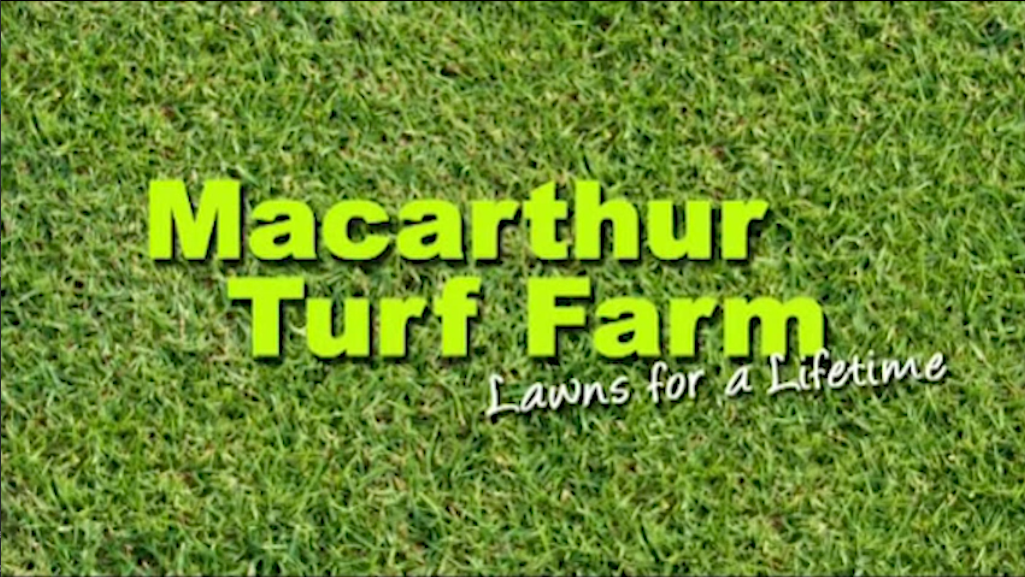 Macarthur Turf Farm. Landscape Supplies, Matilda Buffalo Kikuyu Lawns